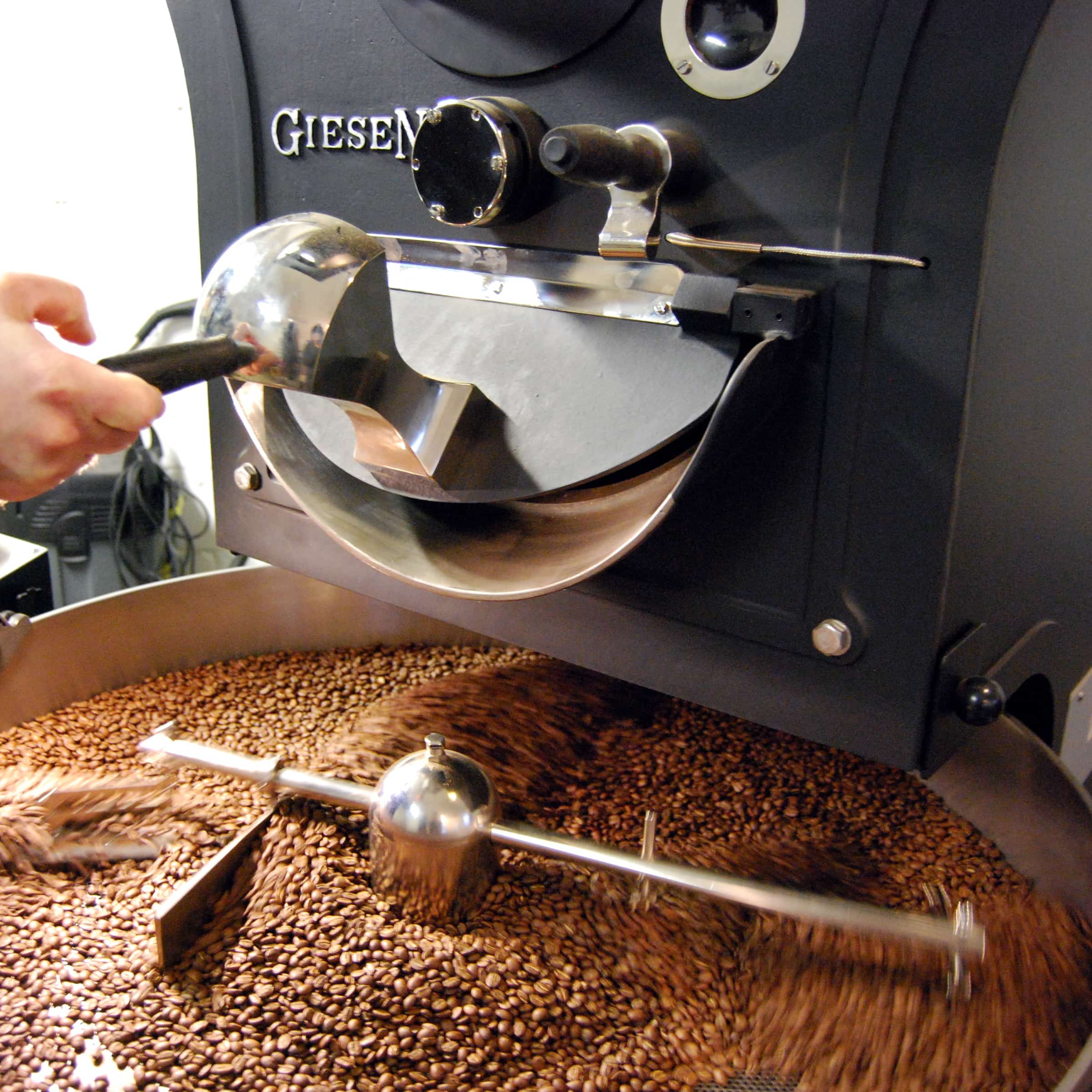 Coffee workshops in Berlin | Flying Roasters