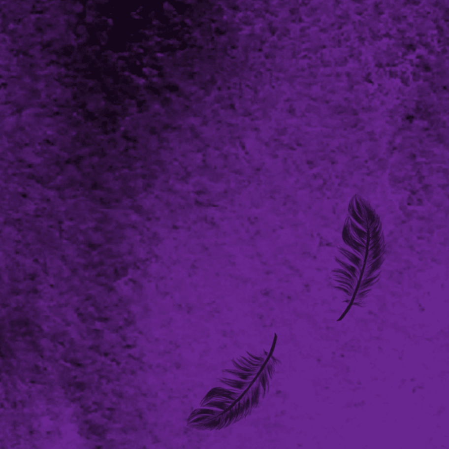 Organic coffee „Geisha“ Microlot Gesha washed | Flying Roasters